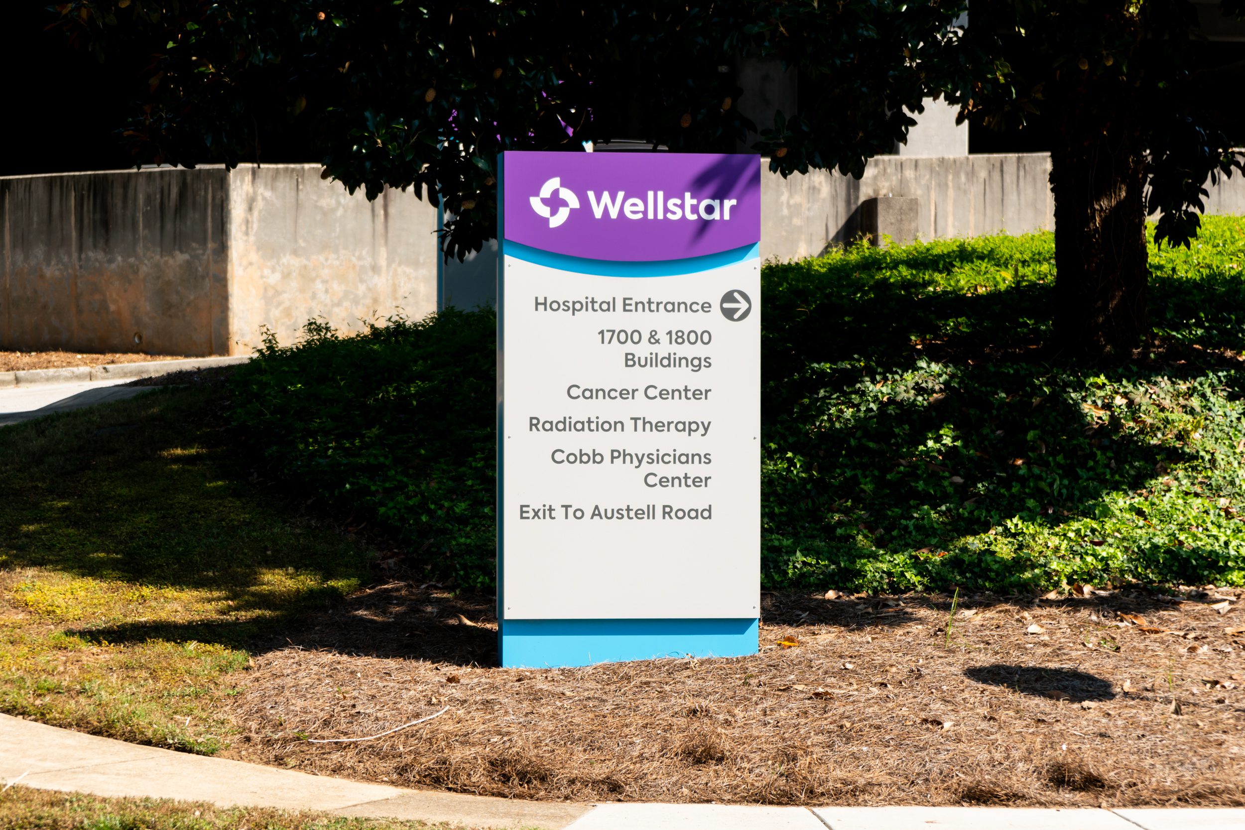 Rebranding Wellstar - Henry Incorporated